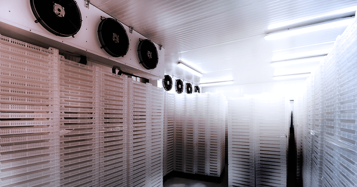 Valk Technics - Contacteer Valk Technics